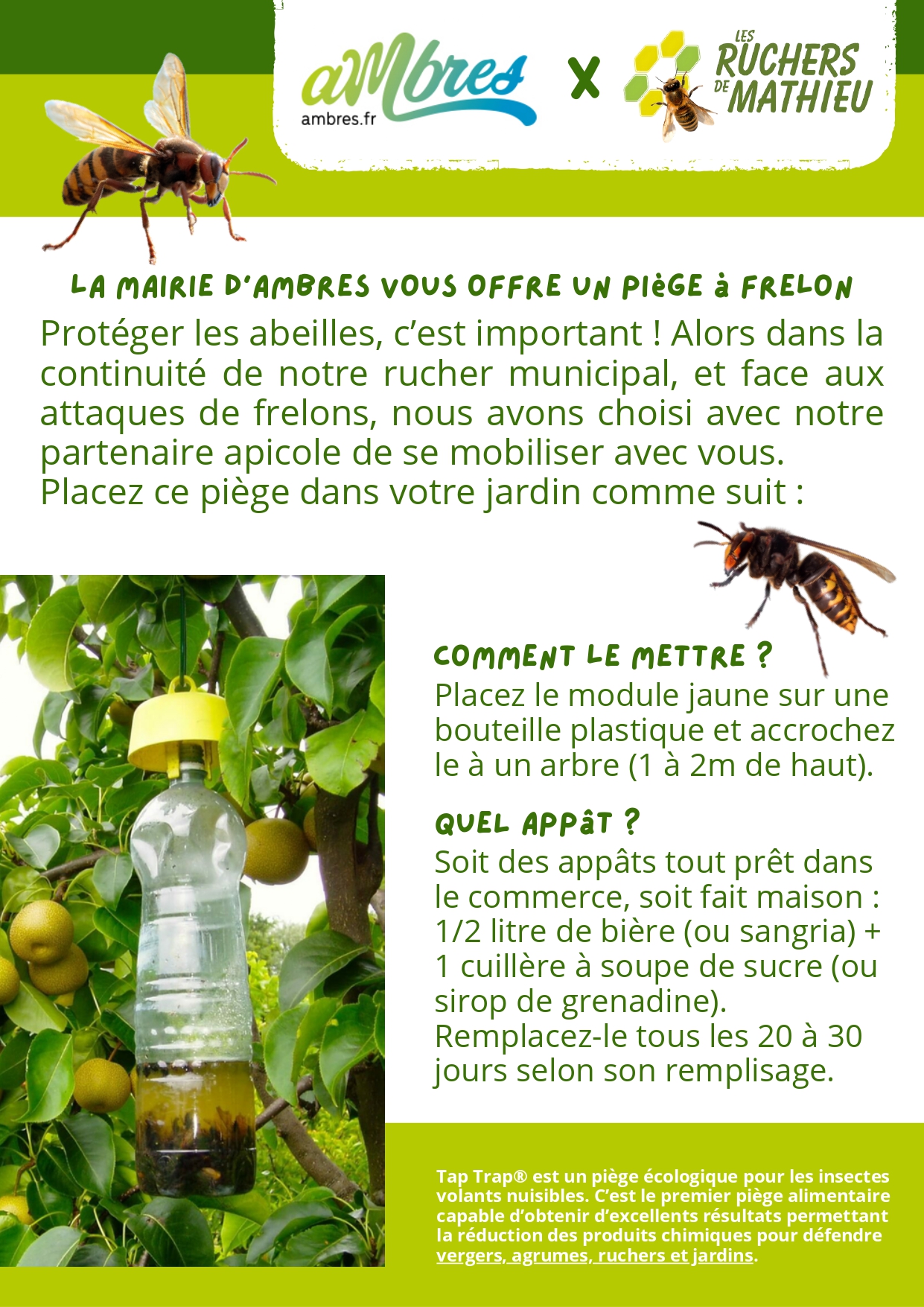 Piège à frelon - Mairie d'Ambres